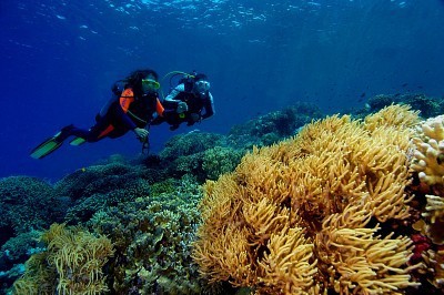Safari Tours & Travel Manado, North Sulawesi - Diving Packages Bunaken ...