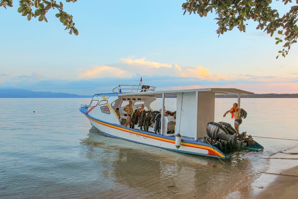 Kuda Laut Resort on Siladen Island. North Sulawesi - Safari Tours
