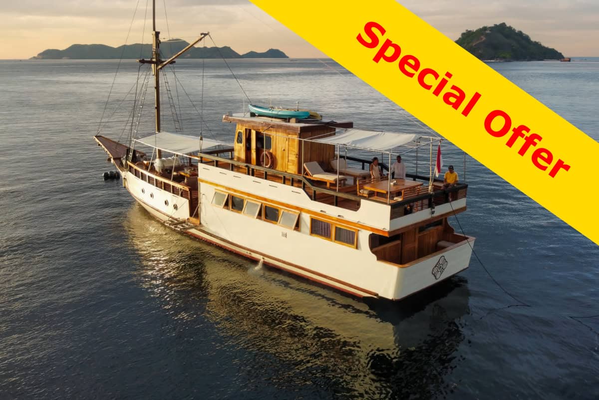 Kelana Cruises – Private Liveaboard Charter Komodo | Safari Tours